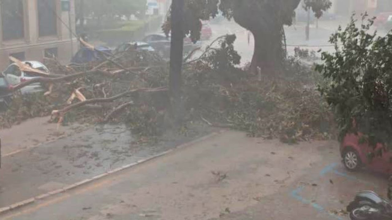 Horror! Severe storms with hail and floods brought destruction to ...