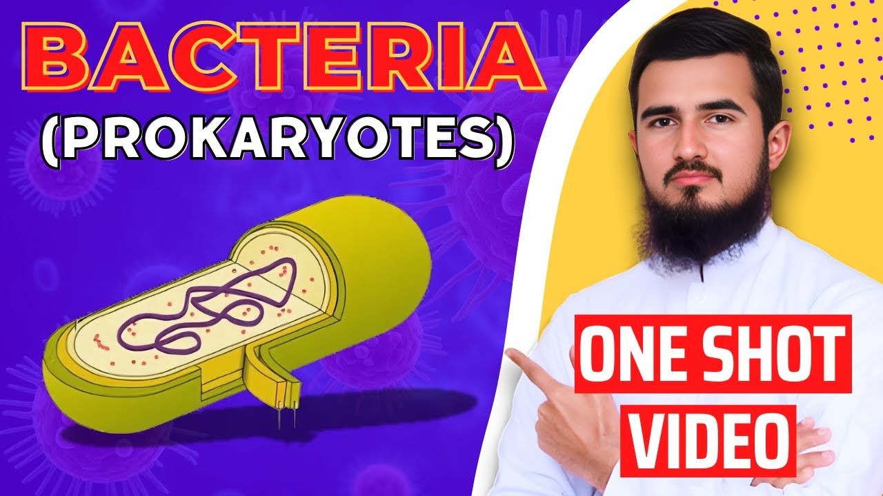 Prokaryotes (Bacteria) Full Chapter In One Shot! - MDCAT Biology ...