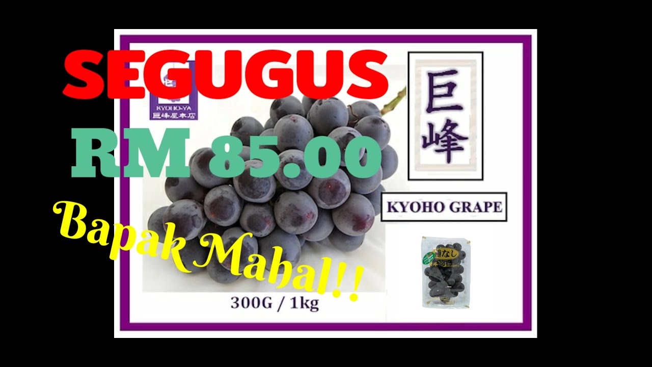 😱😱Anggur RM 85.00 untuk "segugus". Bapak Mahal!!Kyoho Grape😱😱 - YouTube