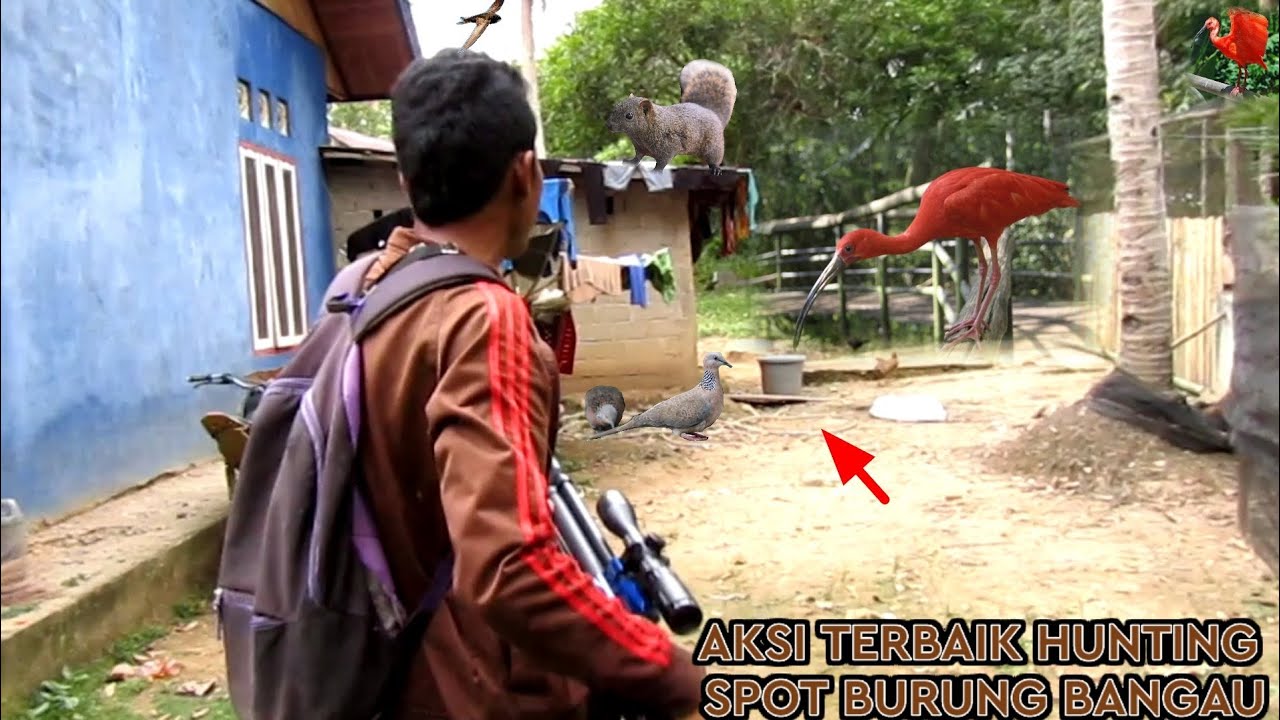 GILA‼️SUDAH TERLANJUR DI TEMBAK 5 EKOR DI BANTAI pemburu sadis si penembak jitu - YouTube