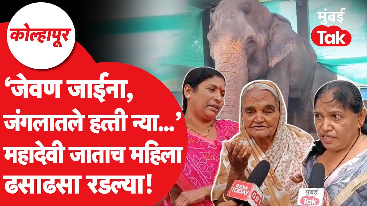 Kolhapur Elephant Story : नांदणी मठातील लाडकी महादेवी गुजरातला गेली ...