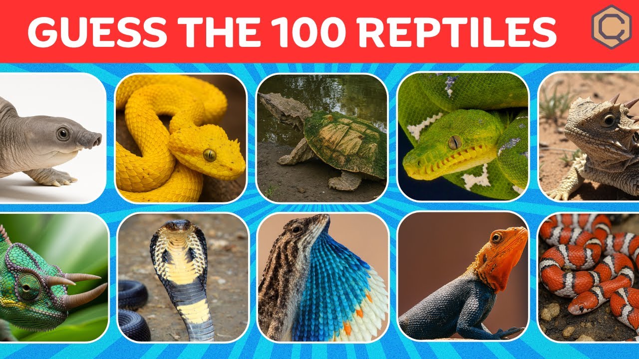 Can You Guess These 100 Reptiles? 🐍🦎 | Ultimate Reptile Quiz Challenge ...