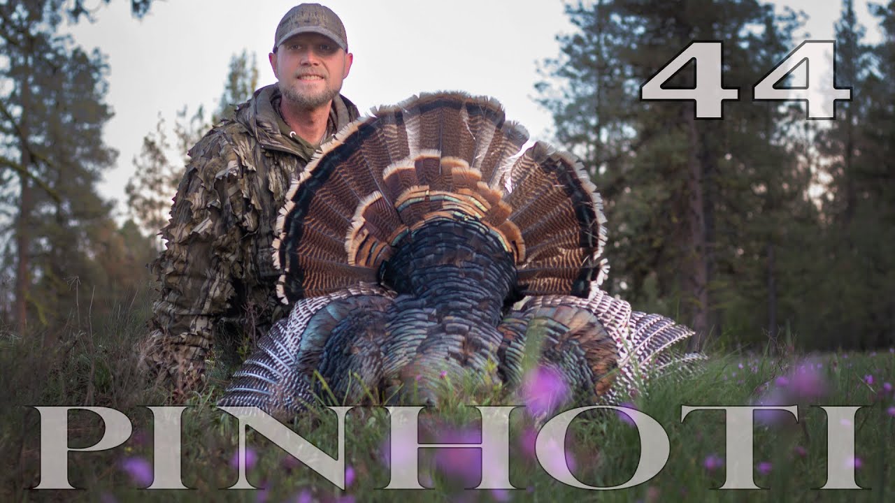 FAST PACED, LAST MINUTE MOVE KILLS OREGON GOBBLER | AGGRESSIVE STRATEGY ...