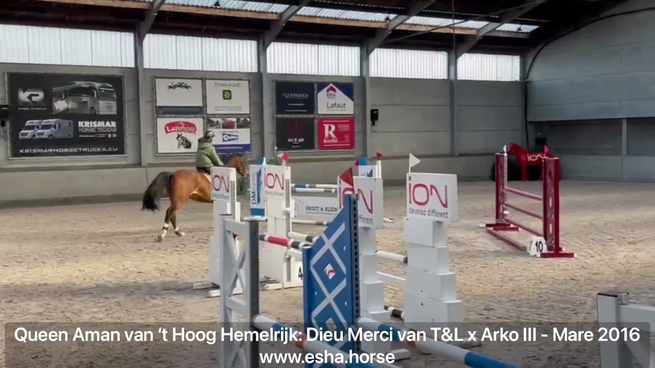 Queen Aman van ‘t Hoog Hemelrijk - YouTube