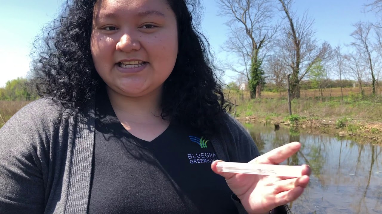 Cane Run Watershed testing - YouTube