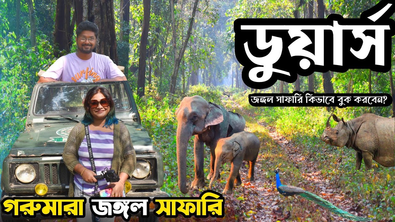 Dooars Tour | Dooars Jungle Safari | Gorumara National Park | Dooars ...