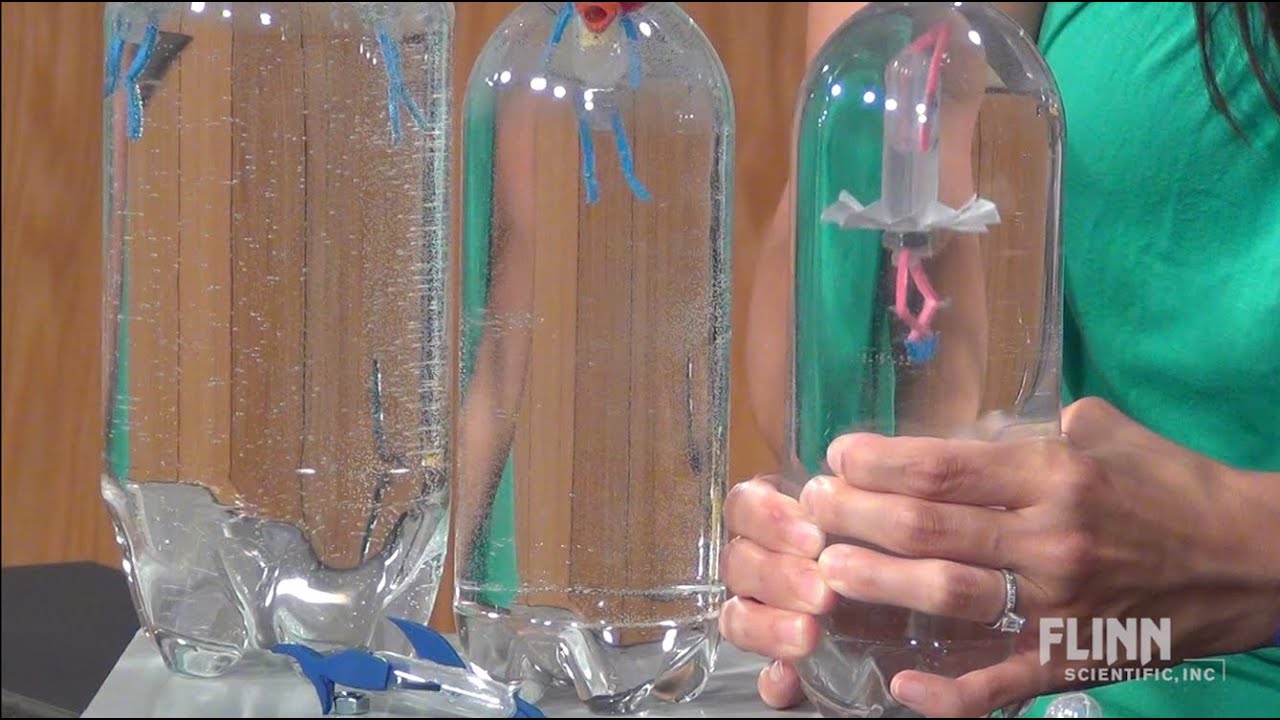 Cartesian Divers And The Concept of Buoyancy - YouTube