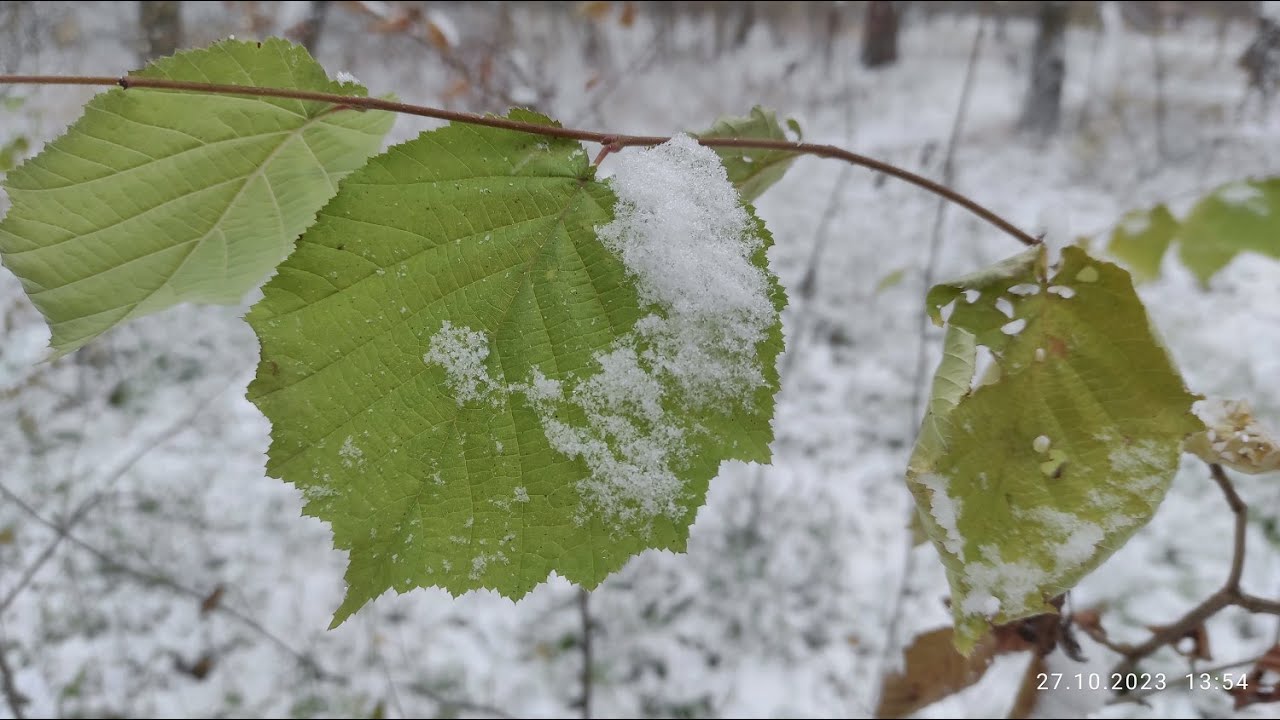 The best video and music for the soul! The first snow in October. - YouTube