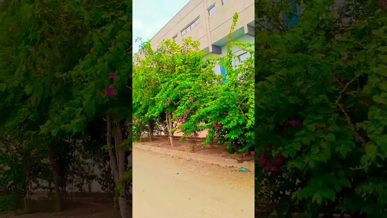 #religion #chai #travelvideo #construction #chaitea #travelvlog #nature ...