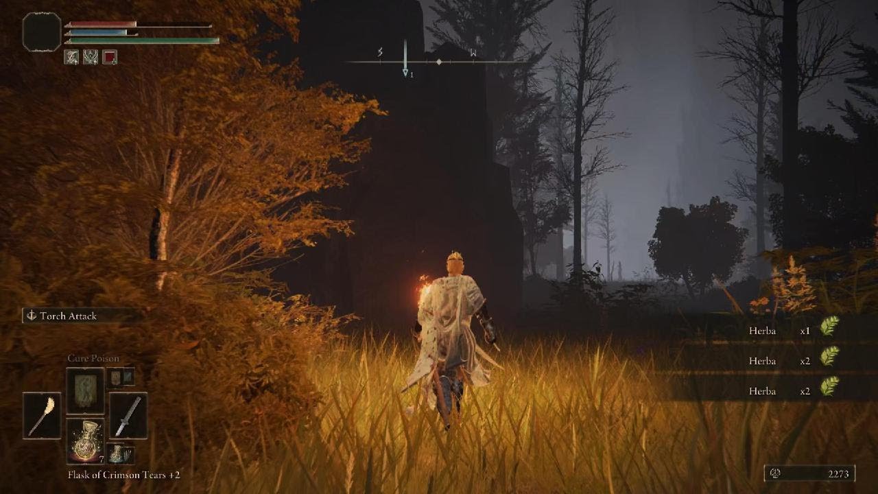 ELDEN RING Ravine-Veiled Village Easy Infinite Resource Herba - YouTube