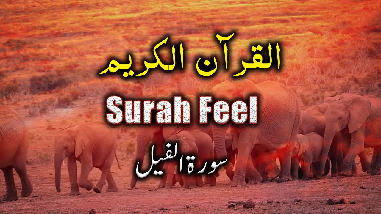 Surah Feel - YouTube