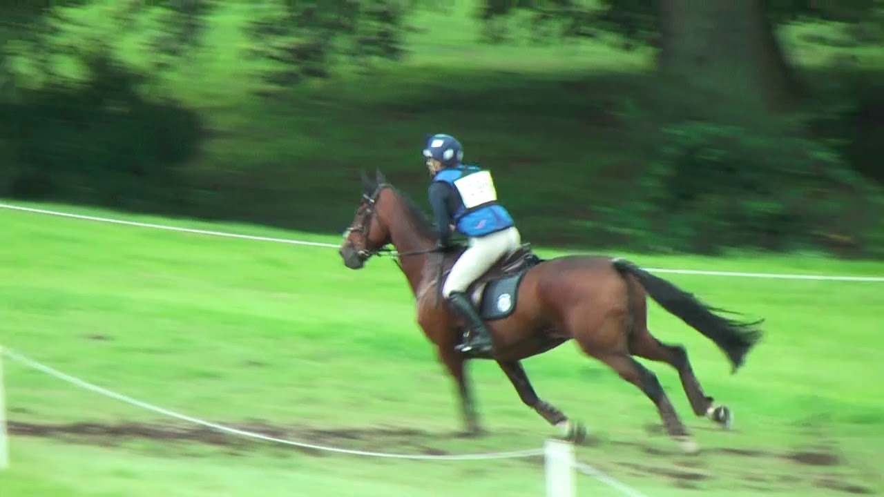 Pony Club Intermediate Eventing Championships 2017 -XC - YouTube