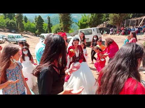 Andırın cambaz