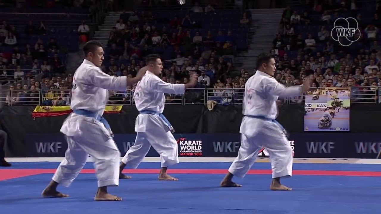 TOP TEN Karate actions of the last day of finals of Karate World ...