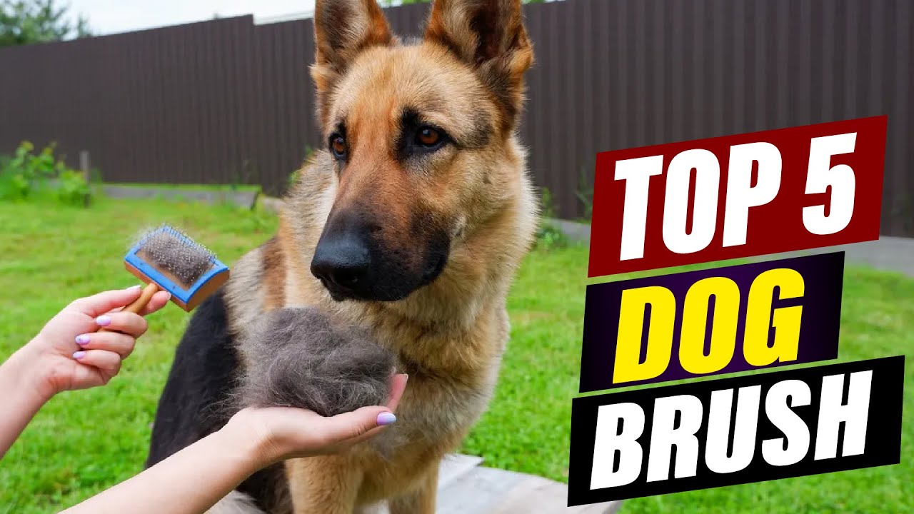 Best Dog Brushes for German Shepherds: Keep Your Furry Friend Healthy ...