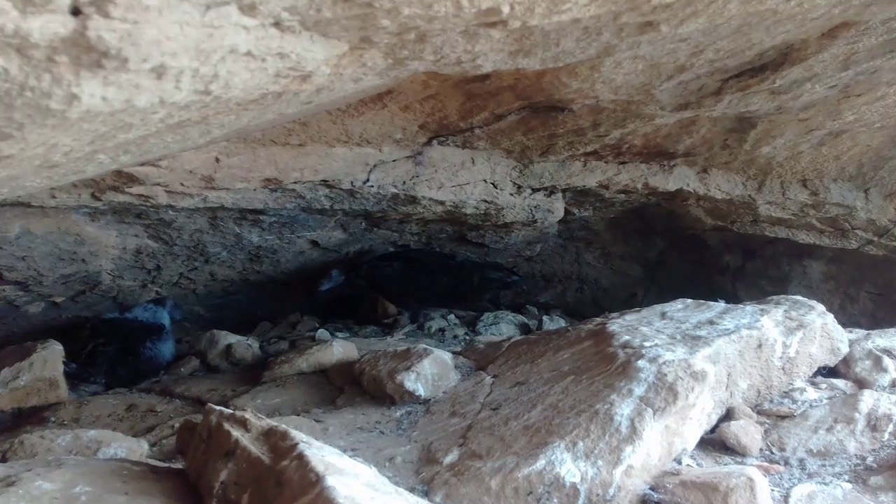 BAHIA SELVAGEM SATIRO DIAS BAHIA - YouTube