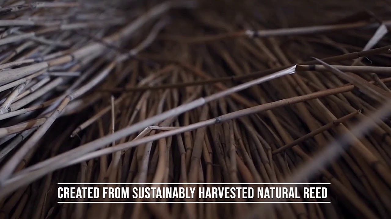 Sutu Natural Reed Drinking Straws - A Truly Sustainable Alternative ...