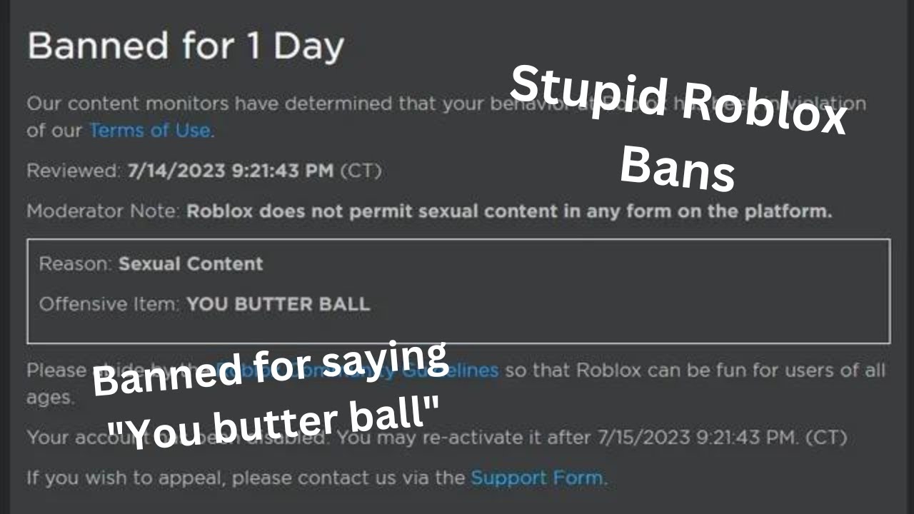 Stupid Roblox Bans | Part 20 | Roblox - YouTube