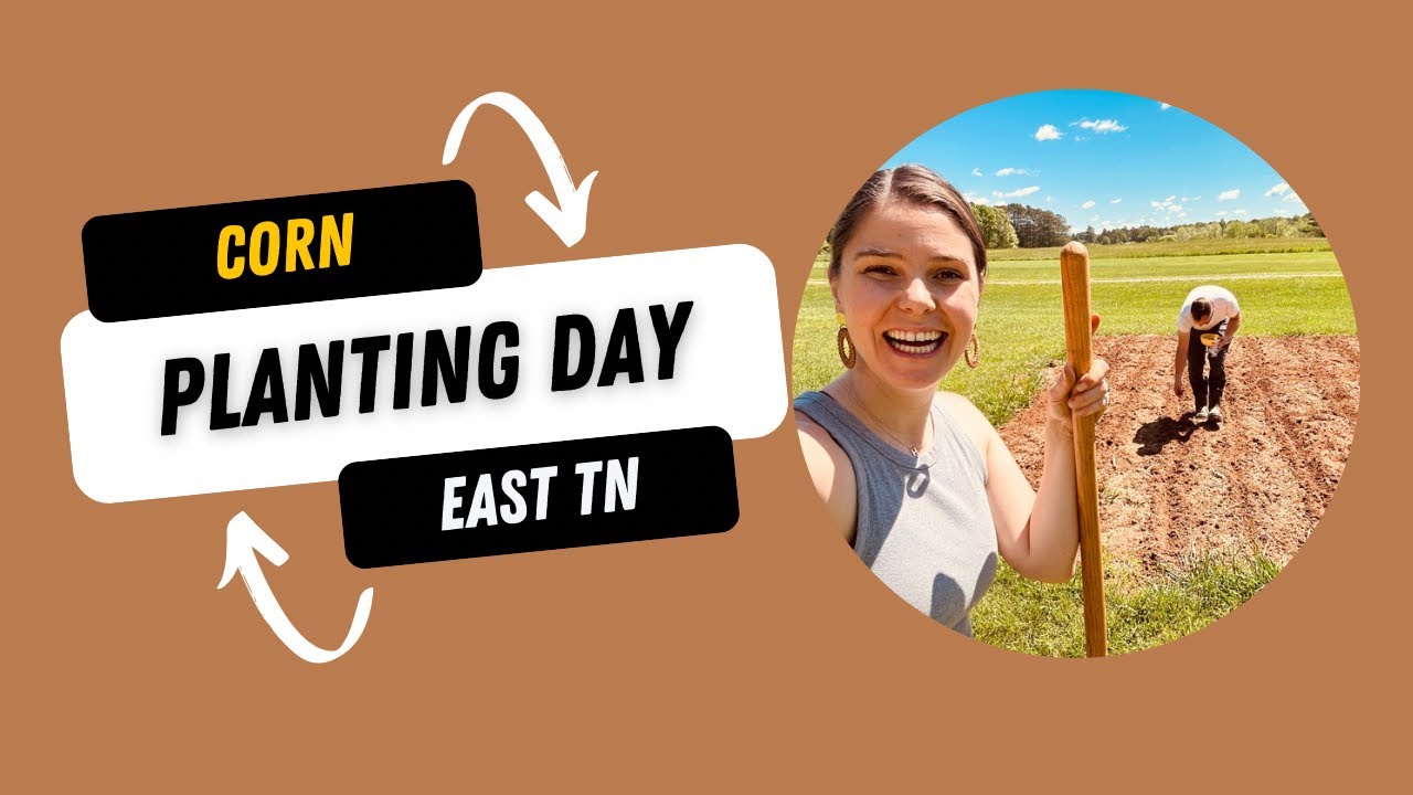 Corn Planting Day on The Farm! - YouTube