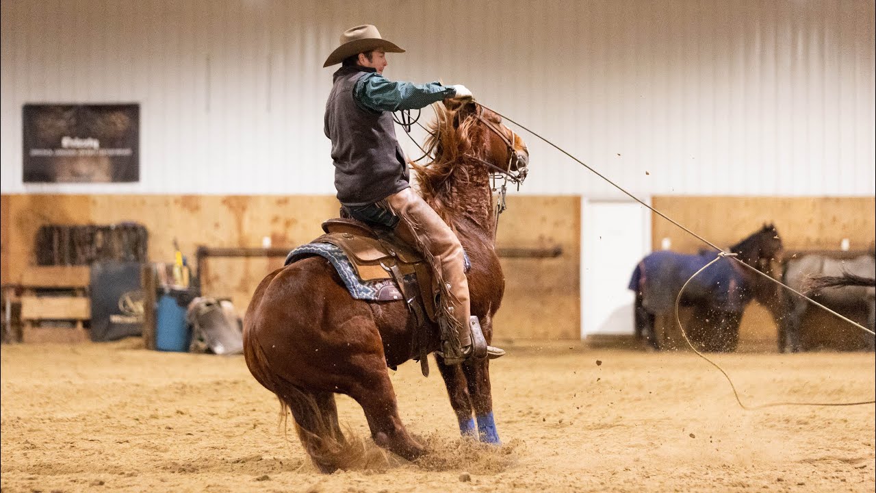 Roller - Ranch, Trail & Rope Gelding - YouTube