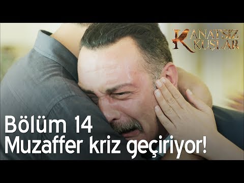 Muzaffer kriz geçiriyor! - Kanatsız Kuşlar 14. Bölüm