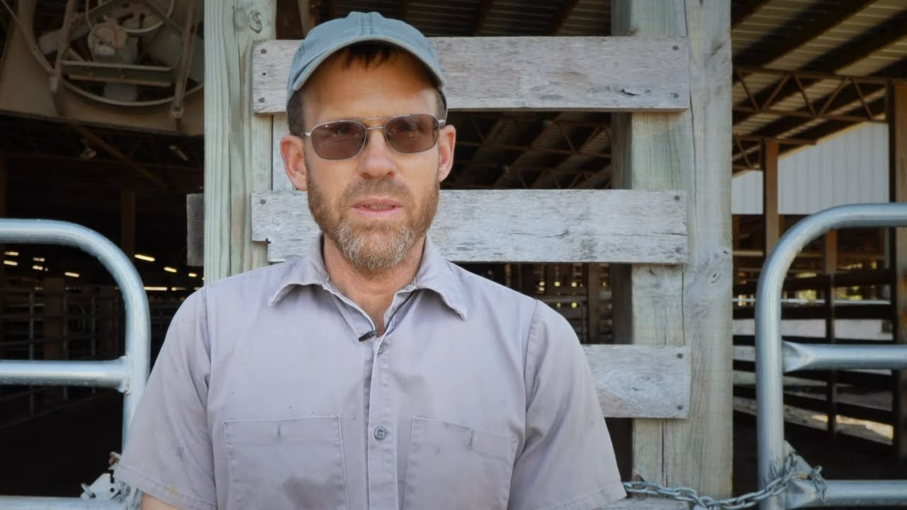 Calf Eats, Calf Lives - The FerAppease Difference - YouTube