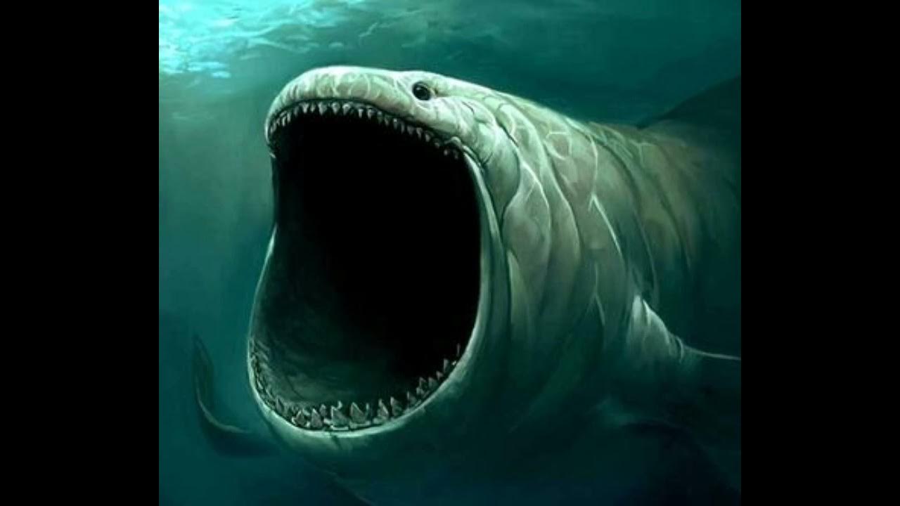 Bloop sounds effects - YouTube