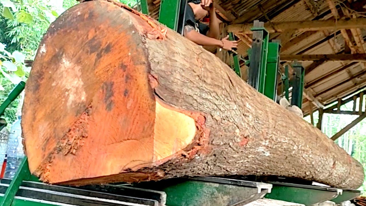 Sawing a beautiful 4.5M long piece of mahogany wood - YouTube