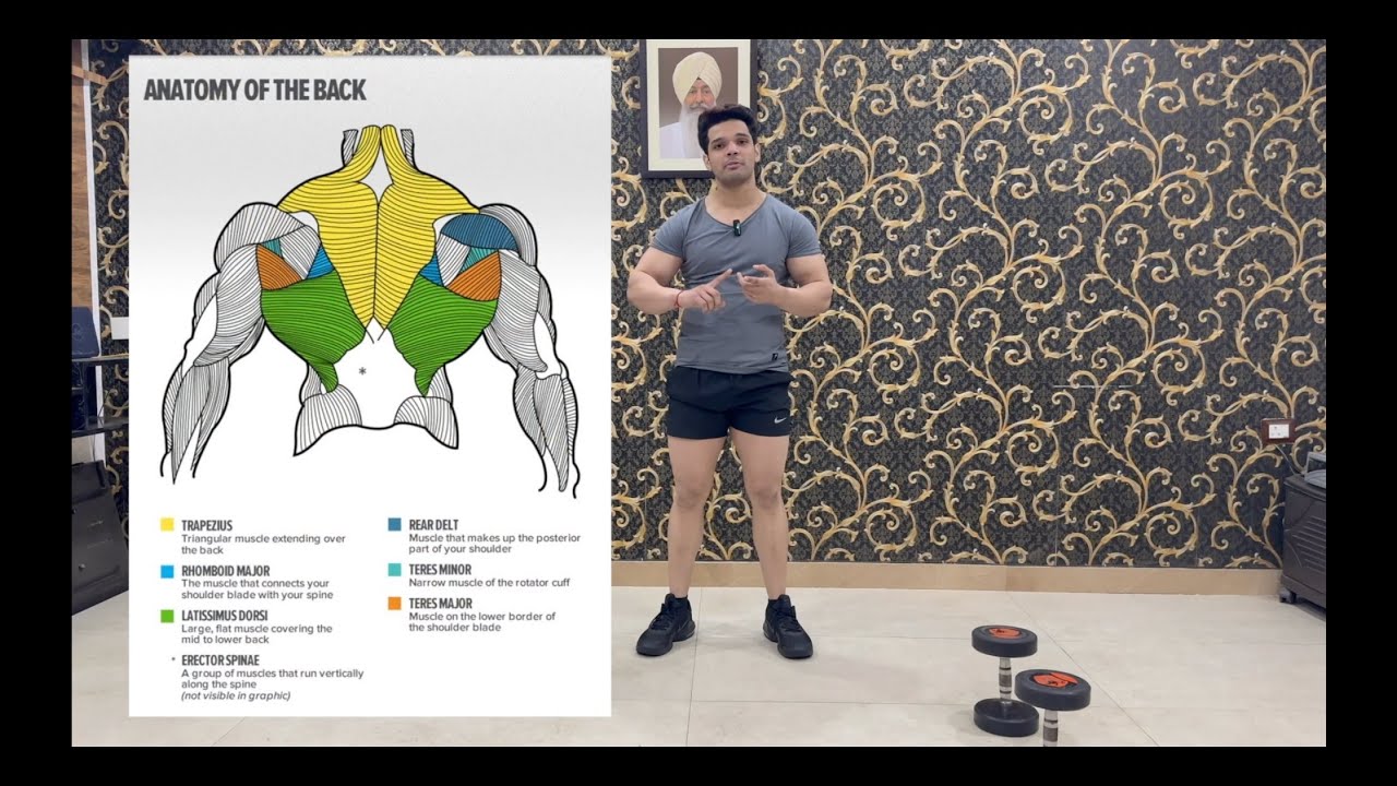 Back(muscle) ...explain, how to train it - YouTube