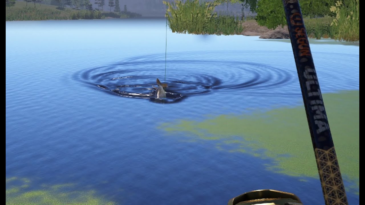 TROPHY PIKE Old Burg Lake Russian fishing 4~ Rf4 - YouTube