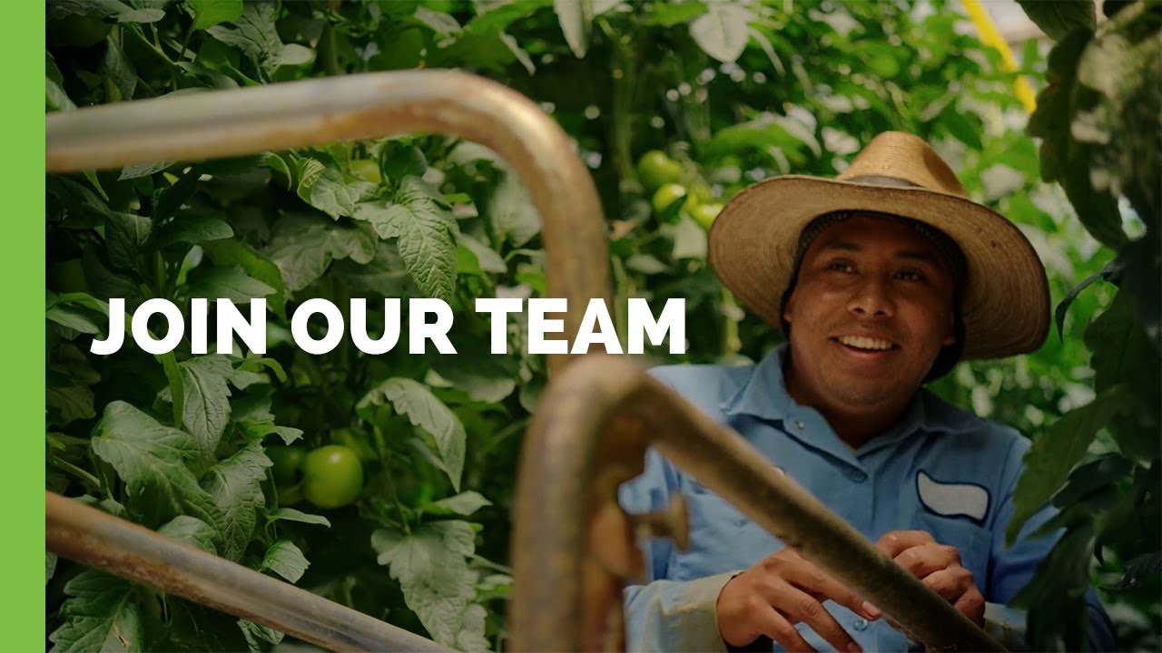 Join the Nature Fresh Farms Team - Recruitment - YouTube