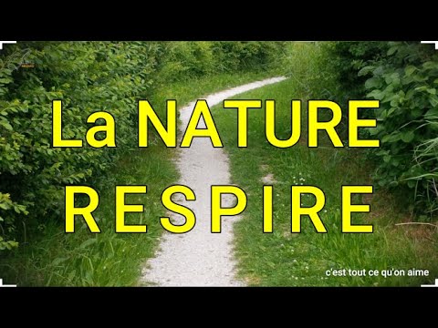 LA NATURE RESPIRE, face caméra - YouTube