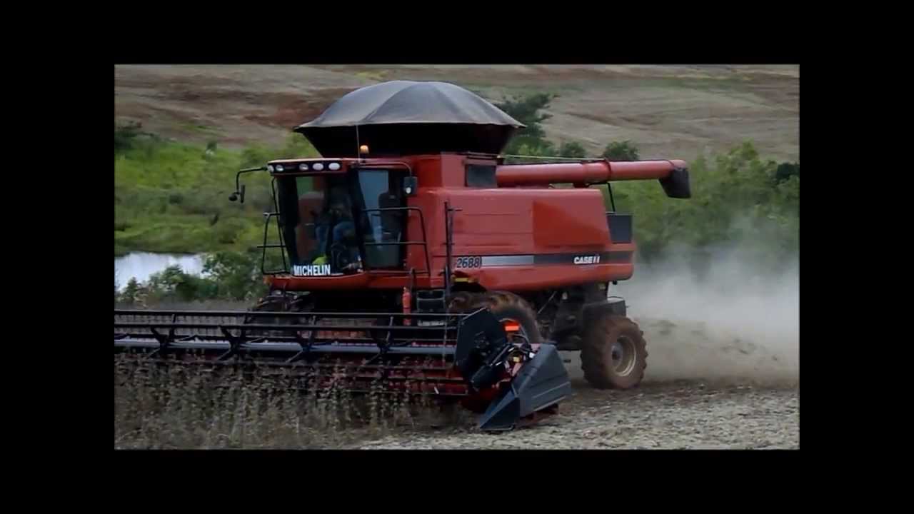 CASE 2688 A 8,4 KM/H NA COLHEITA DE SOJA 2013. - YouTube