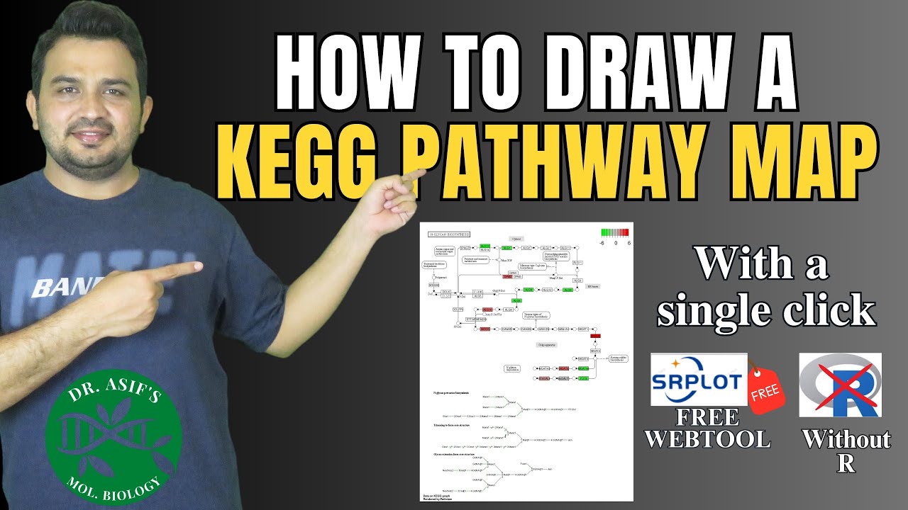 How to draw a KEGG pathway map - YouTube