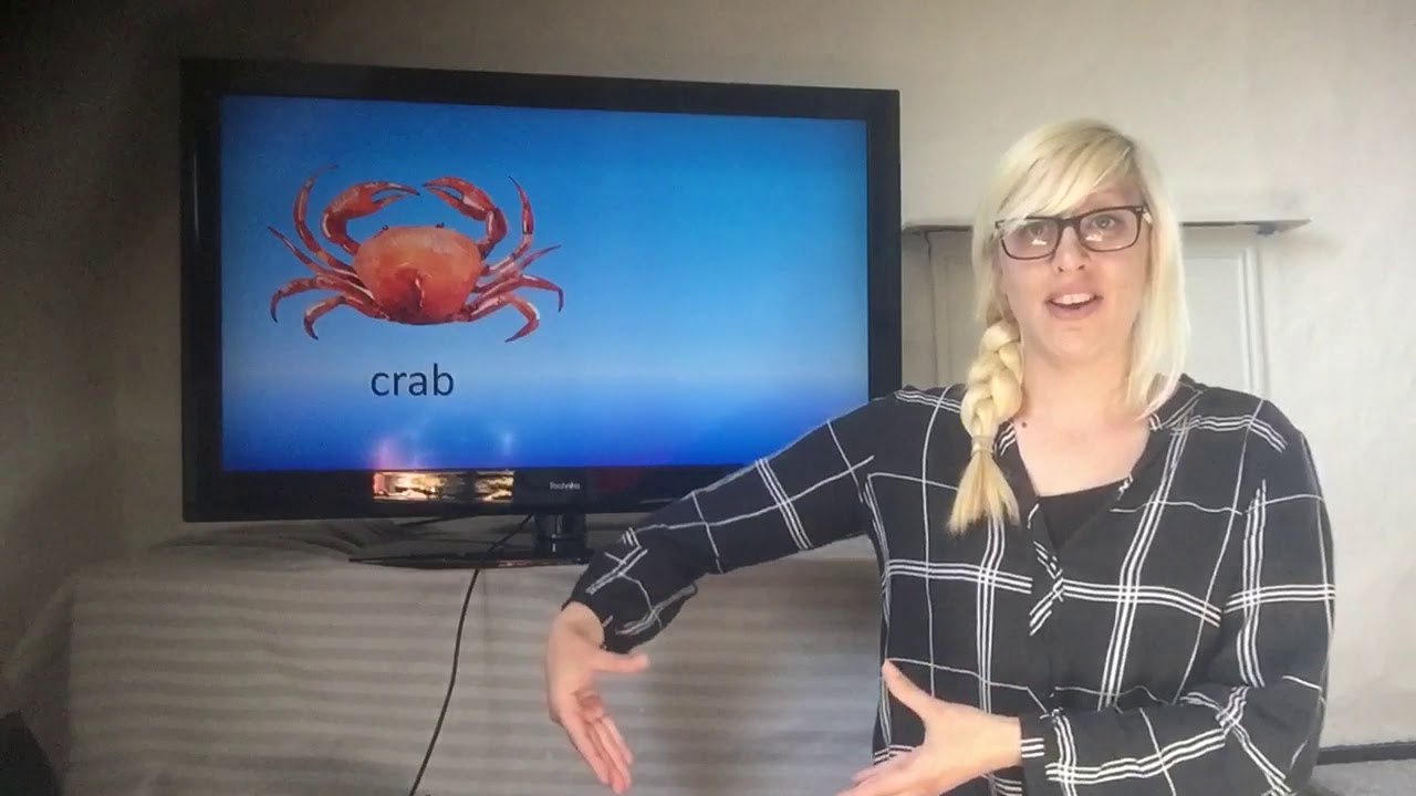 Time to Sign - Sea Creatures - Sign Your Heart Out - Sign Language ...