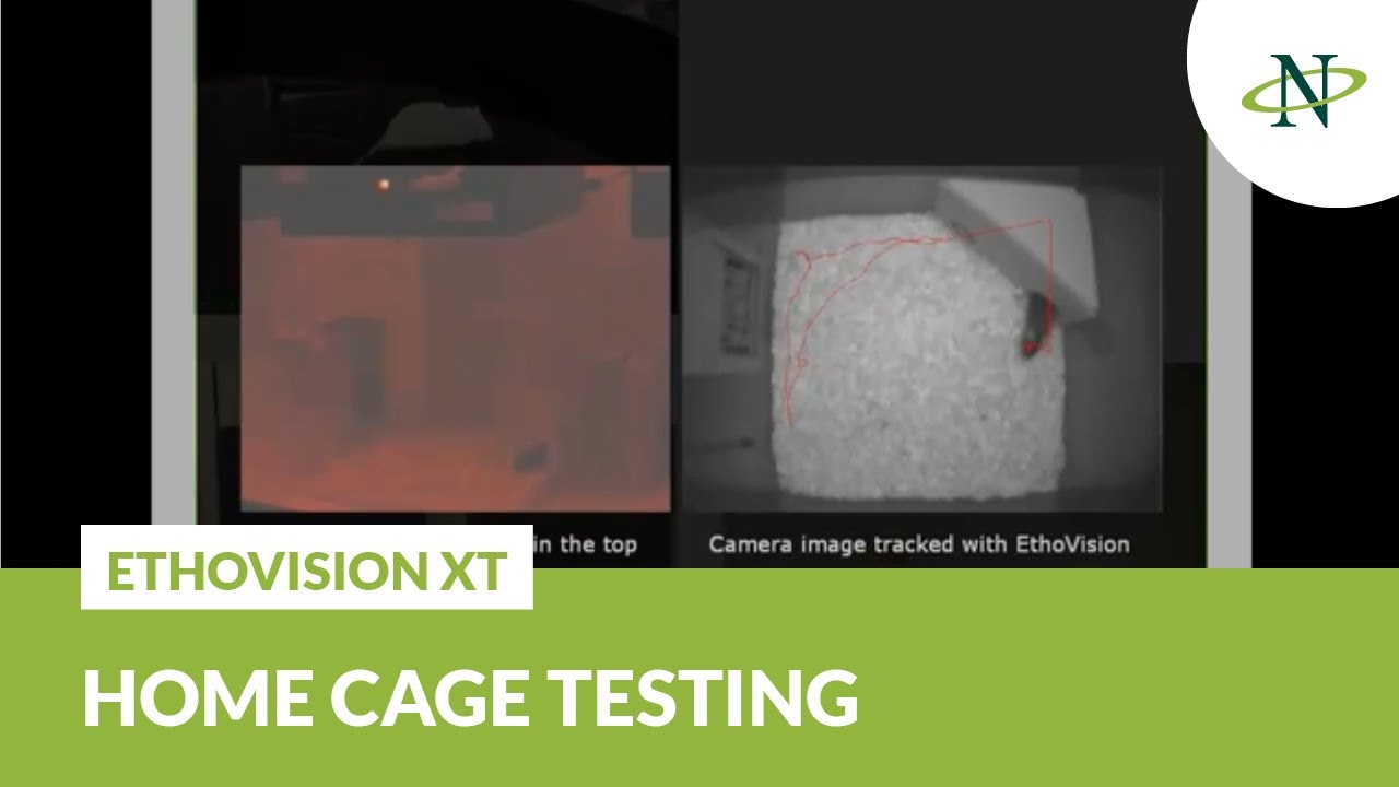 EthoVision XT - Home cage testing - YouTube