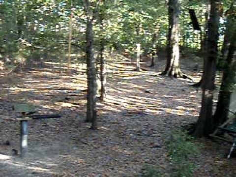 squirrel zipline, squirrel skyride, Orange Park - YouTube