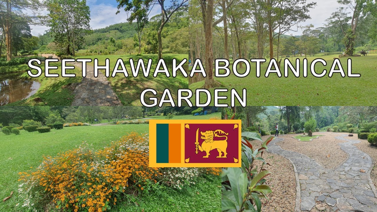 Seethawaka Botanical Garden | Part 1 - YouTube