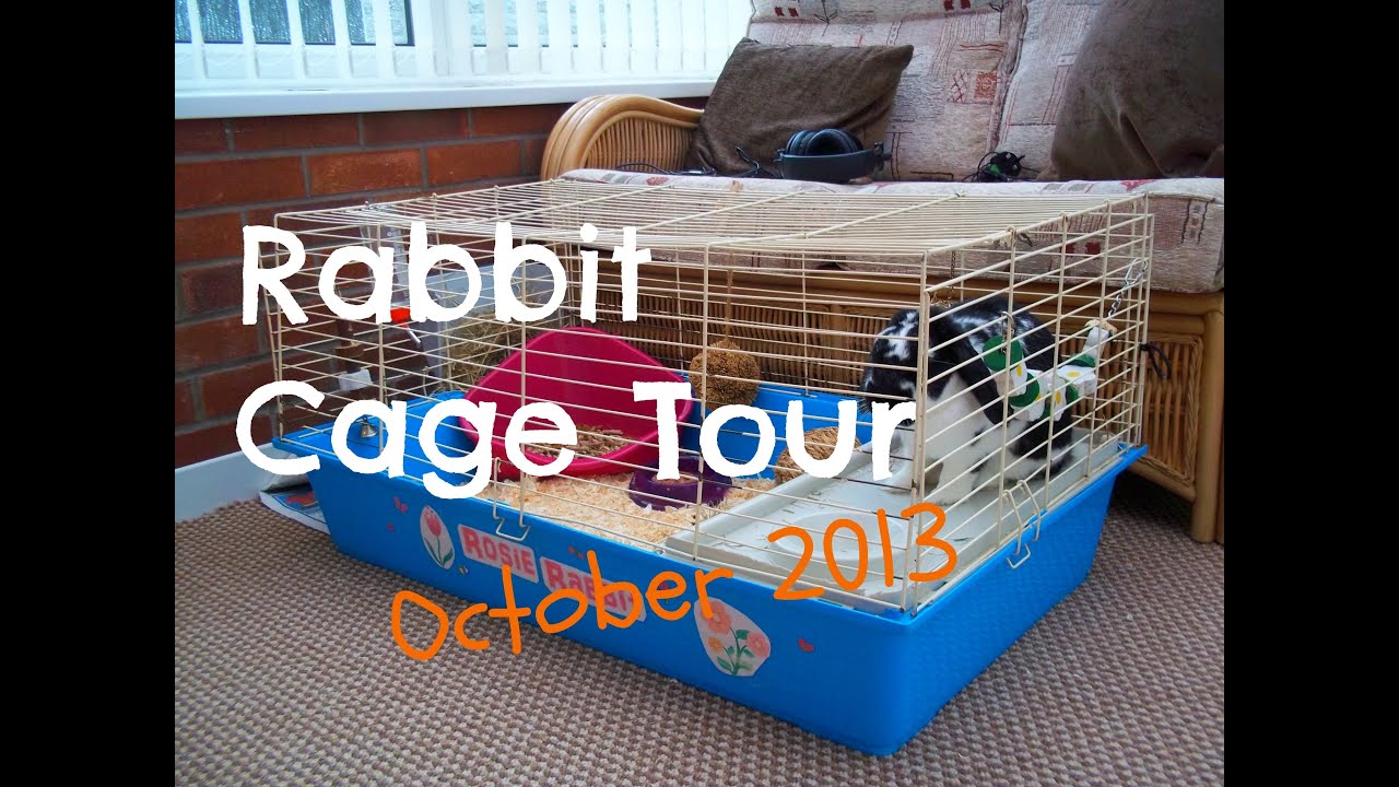 Rabbit Cage Tour October 2013 | RosieBunneh - YouTube