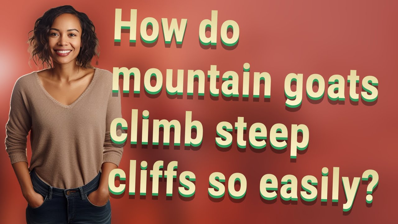 How do mountain goats climb steep cliffs so easily? - YouTube