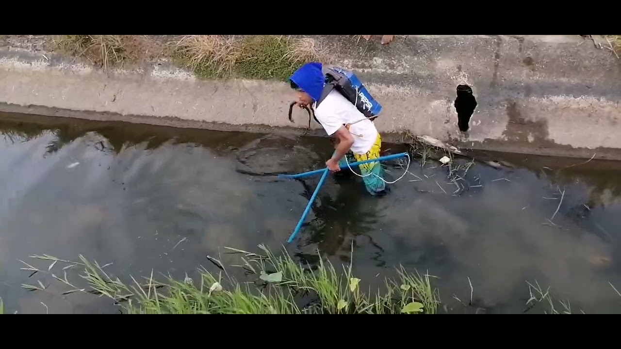 electric fishing hunter fish use modern fishing machines to catch large ...