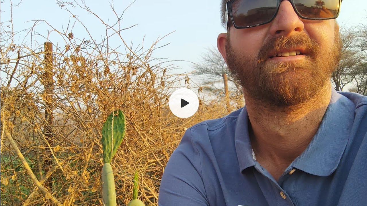 invasive bush in Namibia and being lazy on Sunday. - YouTube
