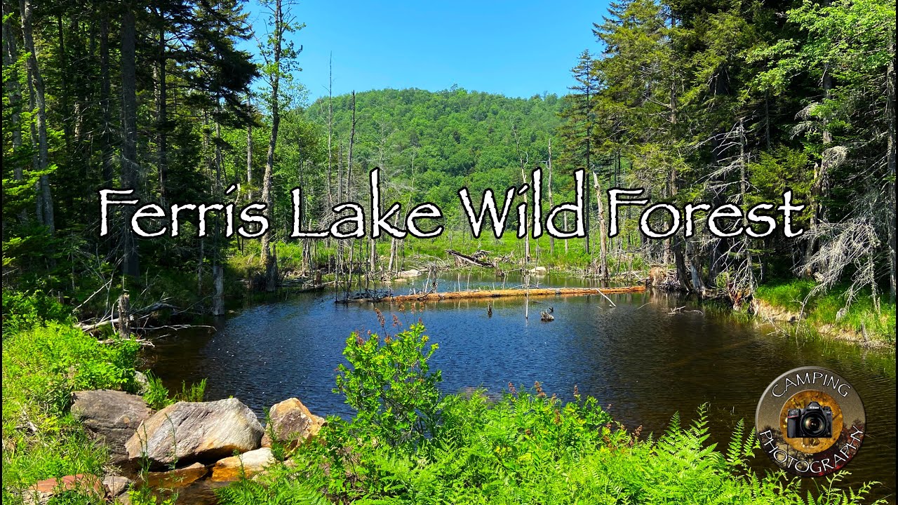 Ferris Lake Wild Forest & some astrophotography - YouTube