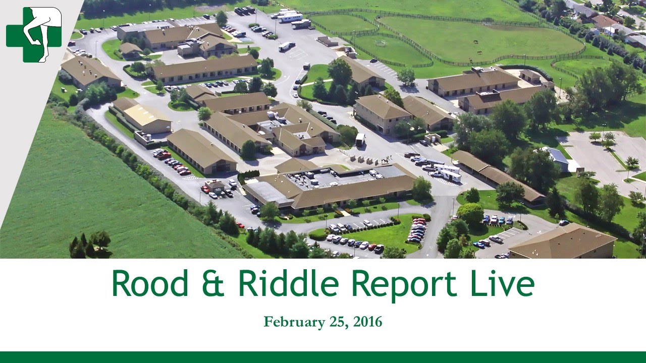 Rood & Riddle Report Live 2016 - YouTube