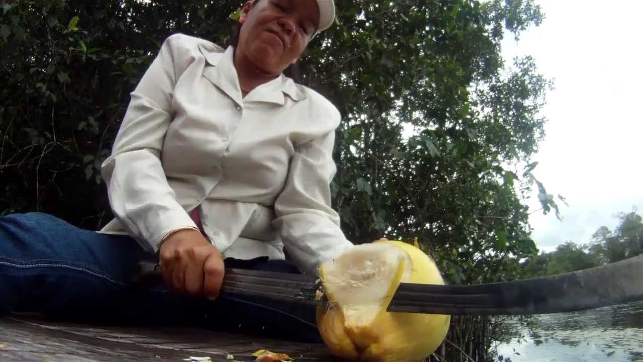 Pomeroon River - YouTube