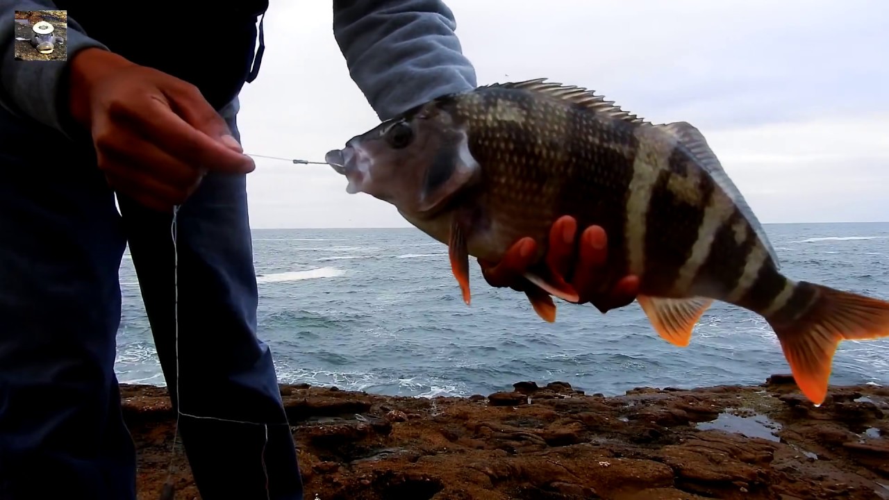 Como pescar en las rocas con línea de mano / pesca sobre rocas - YouTube