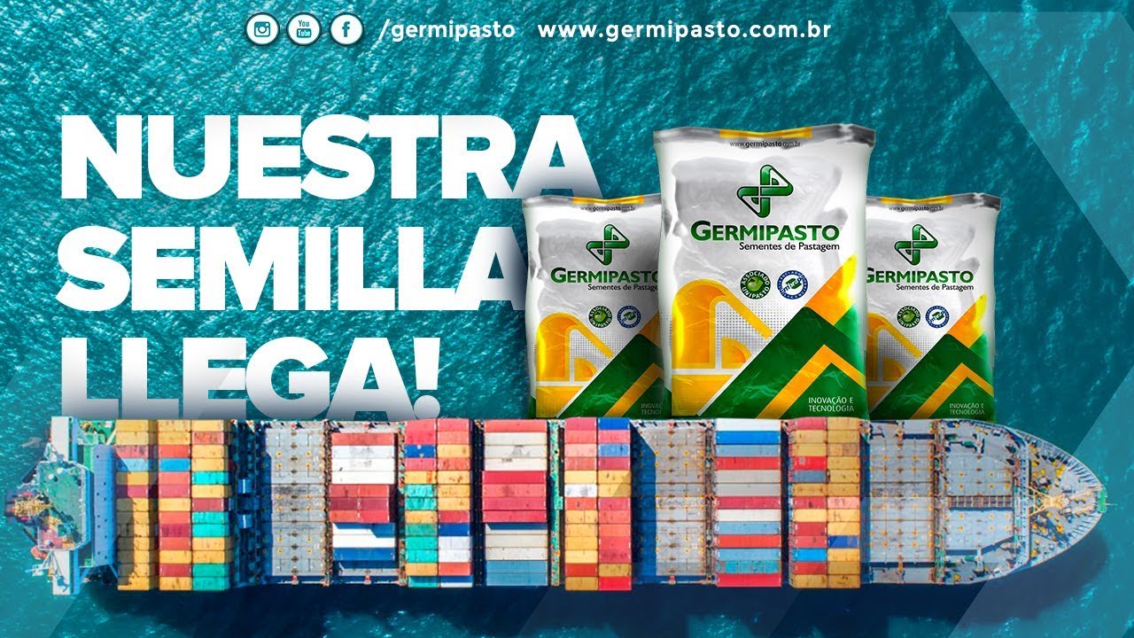 Germipasto Semillas de Pasto - YouTube