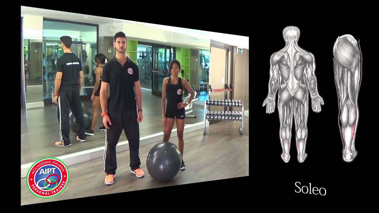 Squat con Fitball - YouTube