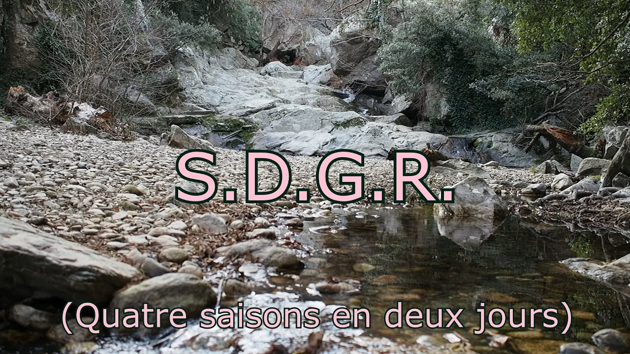 SDGR - YouTube