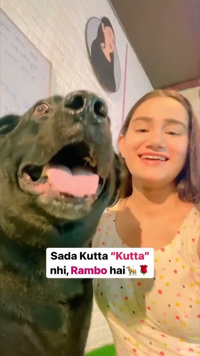Saada Kutta '' Kutta '' Nai '' RAMBO'' ah | Funny - YouTube